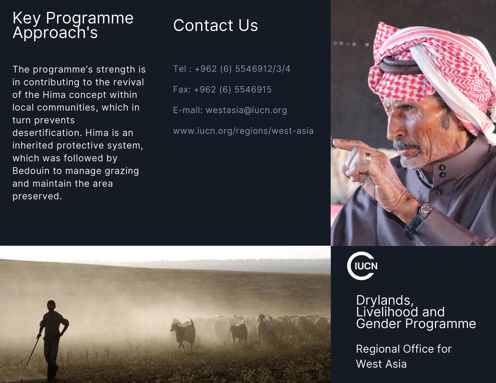 Drylands, Livelihood and Gender Programme Brochure - resource | IUCN