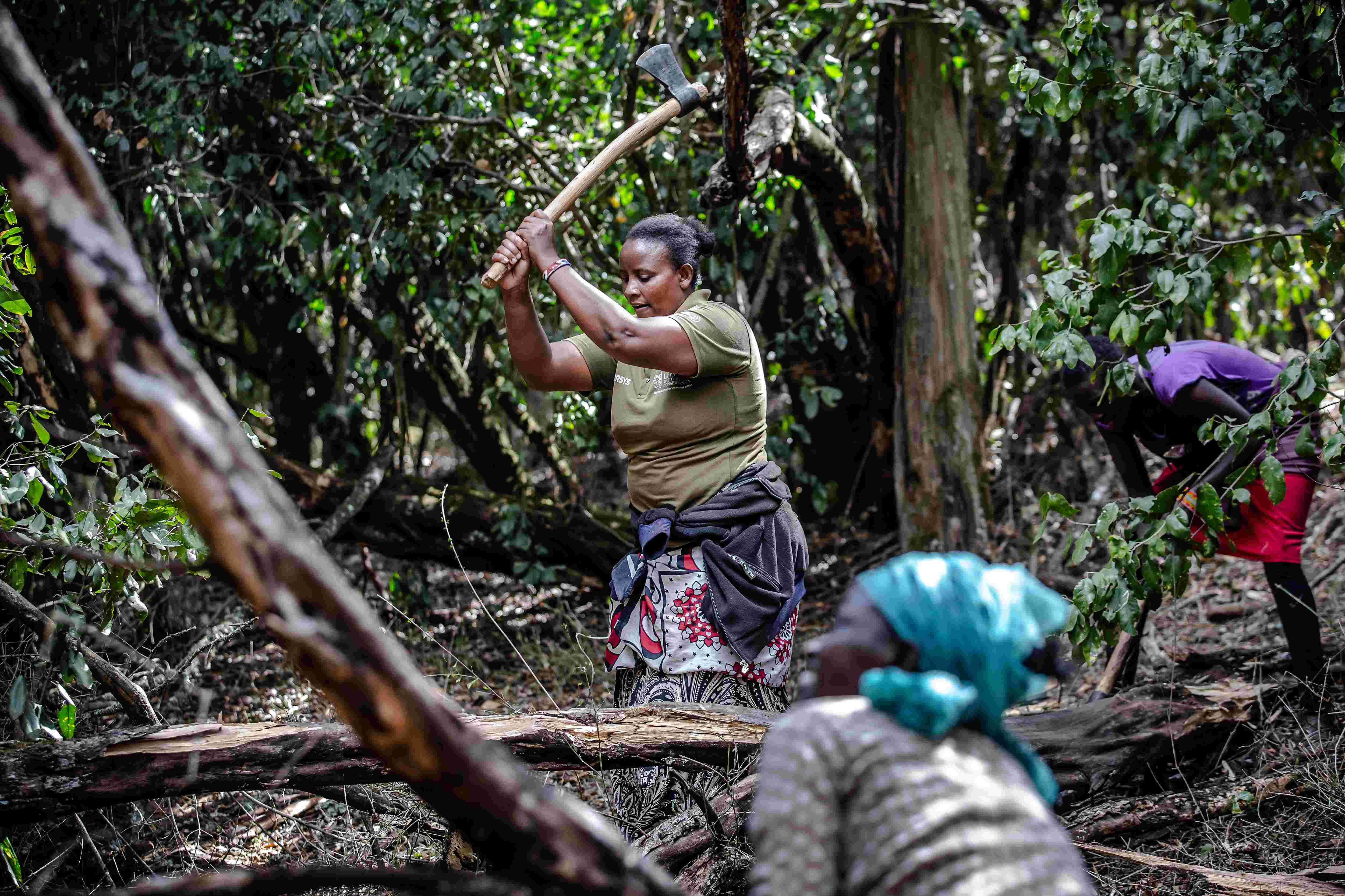 The Restoration Initiative: A Kenya drylands story - Story | IUCN