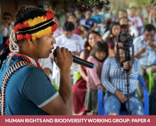 A rights-based path for people and planet: realising human rights in ...