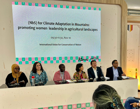 Nature-based Solutions for Climate Adaptation in Mountains: Promoting ...