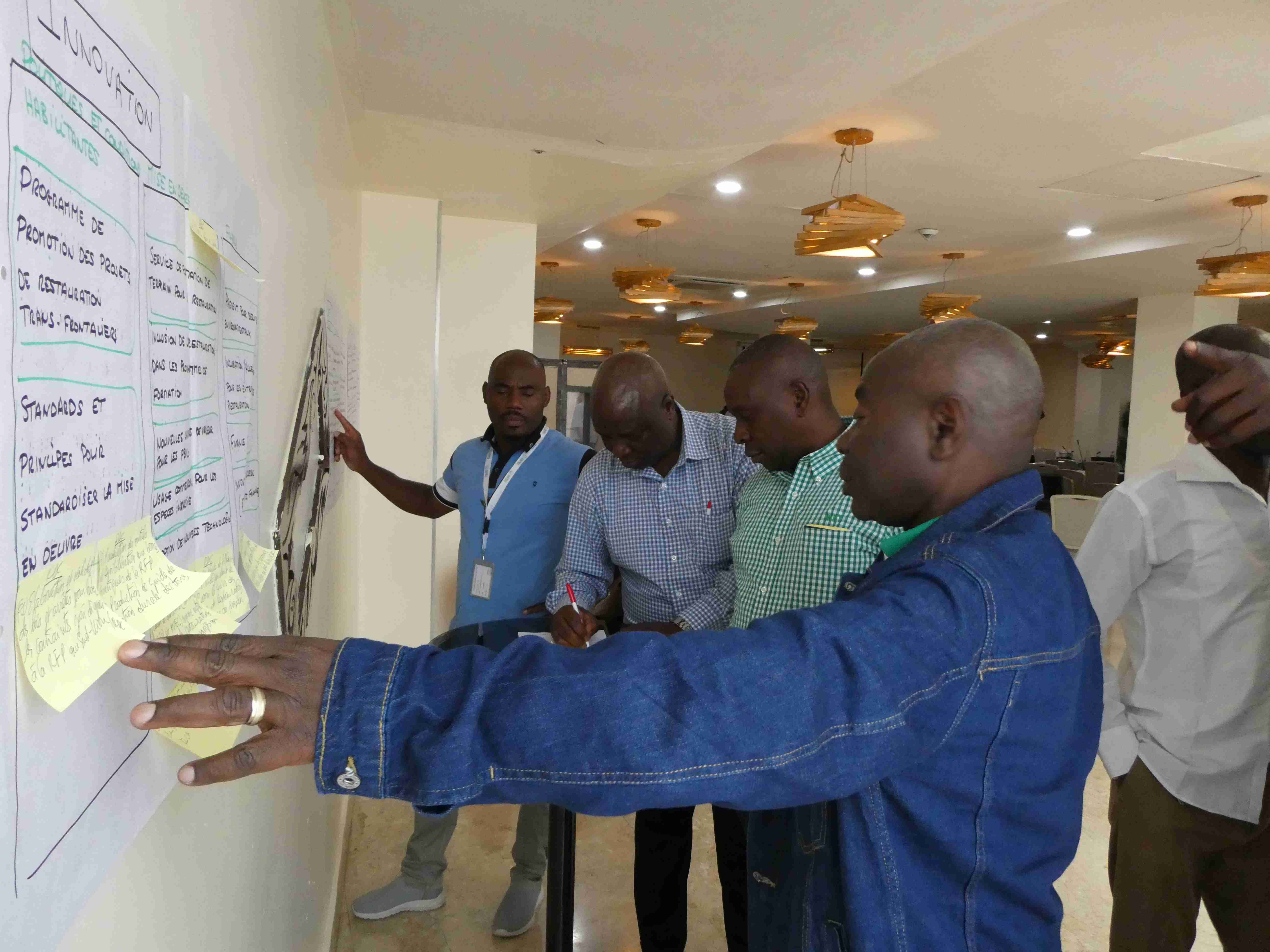 New strides for collaboration and synergies for the TRI community ...