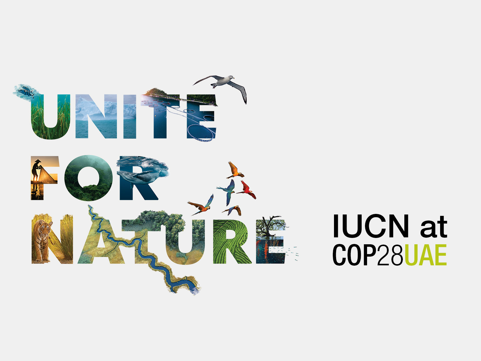 UN Framework Convention on Climate Change (UNFCCC) | IUCN
