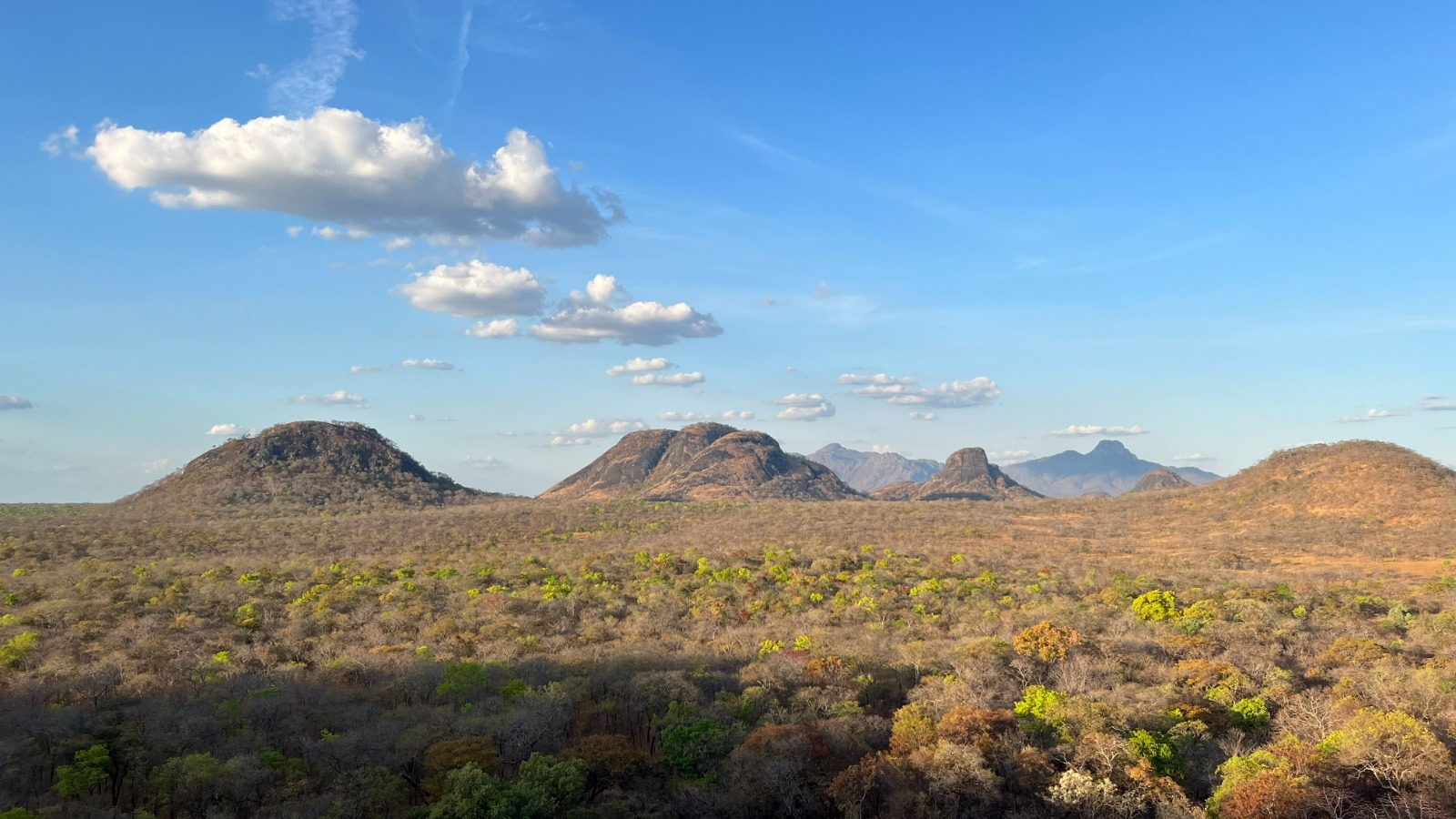 Strengthening Conservation in Mozambique: A Collaboration for Niassa ...