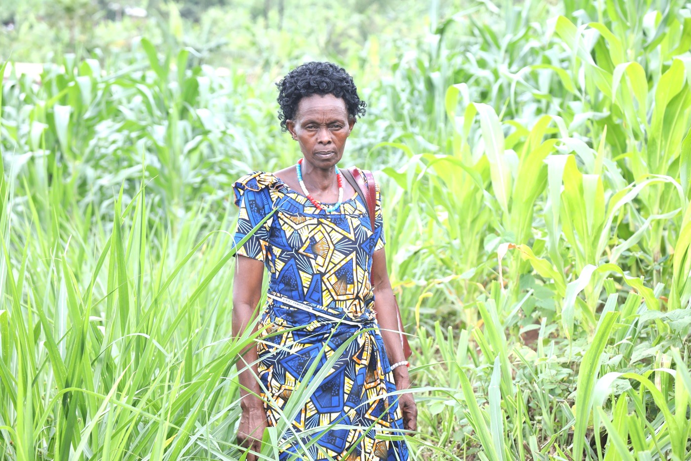 Restoring Soil and Land Health in Rwanda Using a Community Centered ...