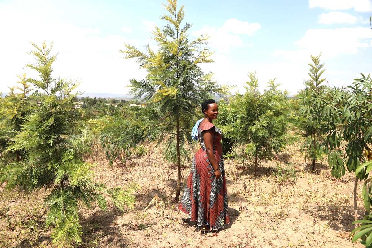 Restoring Soil and Land Health in Rwanda Using a Community Centered Approach - Blog | IUCN