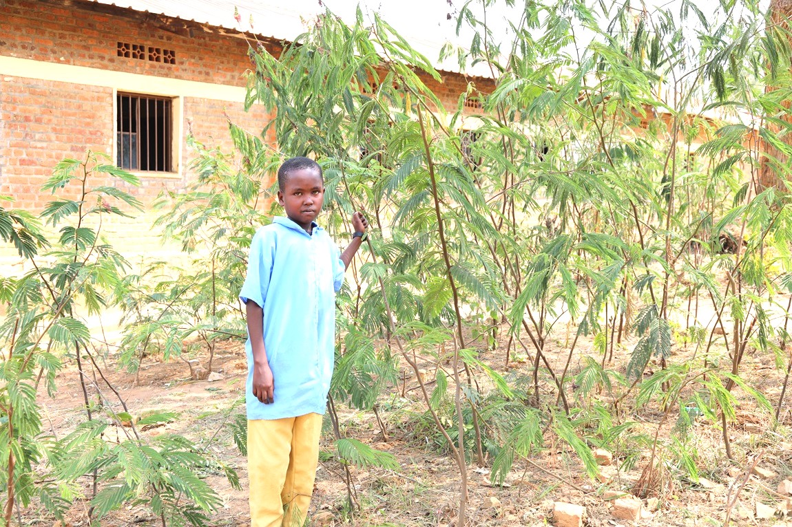 Restoring Soil and Land Health in Rwanda Using a Community Centered ...