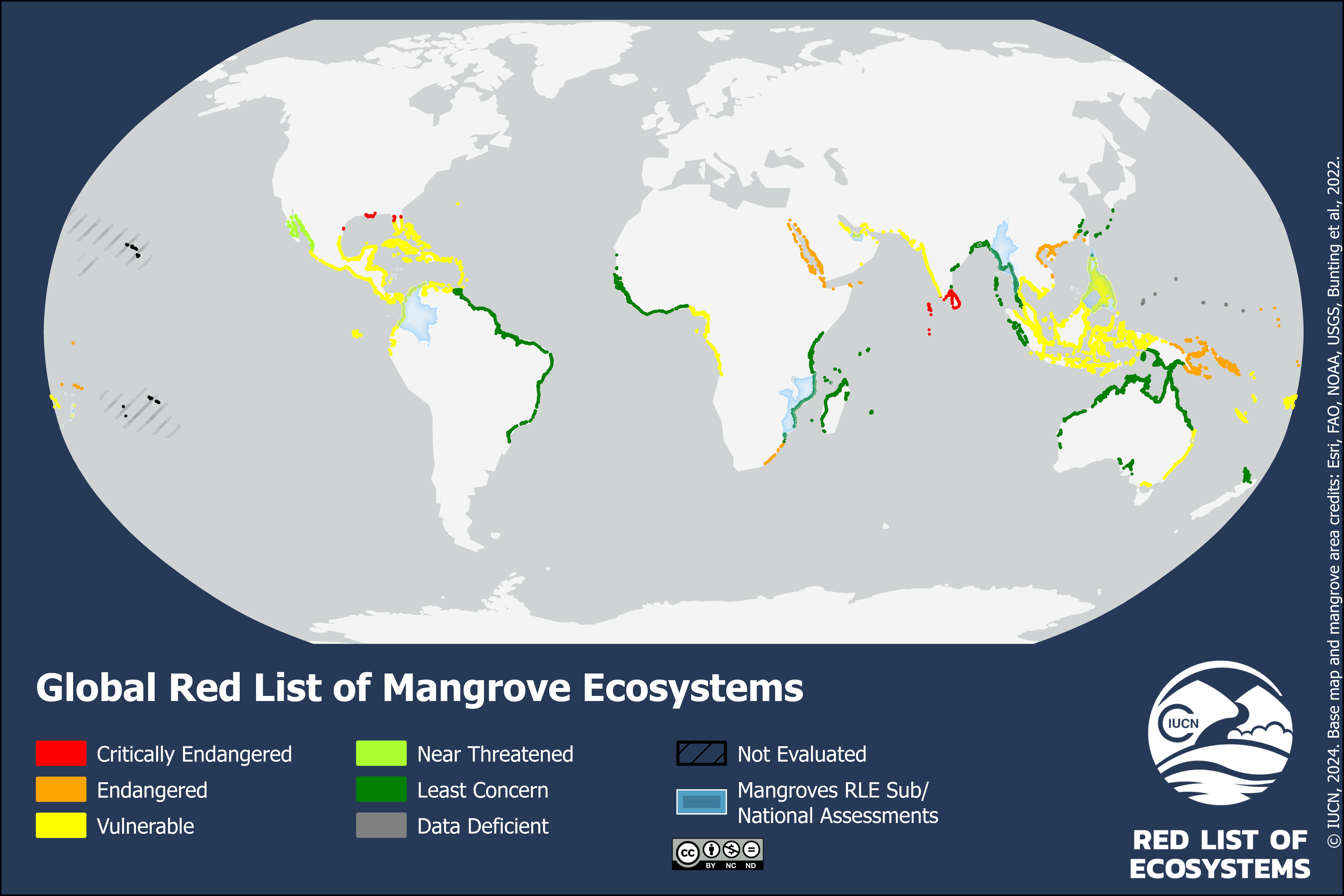 More than half of all mangrove ecosystems at risk of collapse by 2050 ...