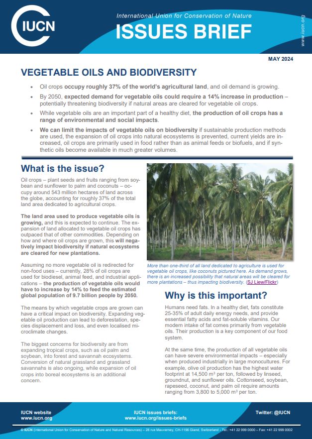 Vegetable oils and biodiversity - resource | IUCN