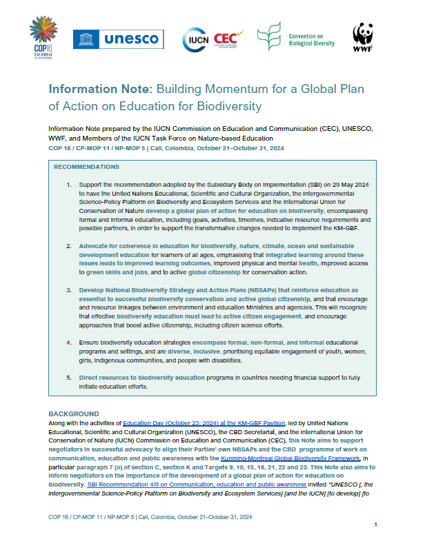 Information Note: Building Momentum for a Global Plan of Action on ...