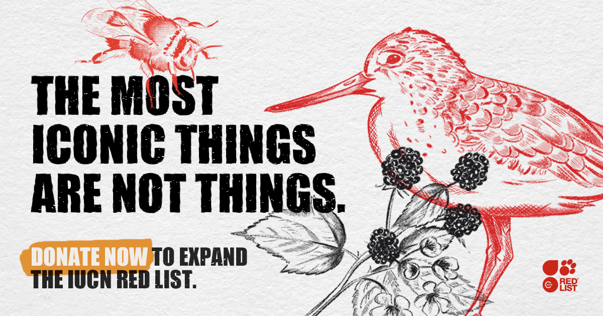 IUCN marks 60th anniversary of Red List with year-long campaign to ...