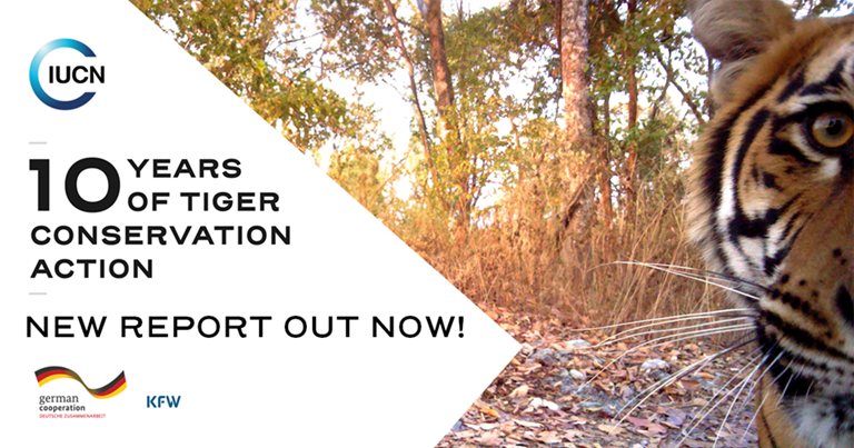 Integrated Tiger Habitat Conservation Programme - resource | IUCN