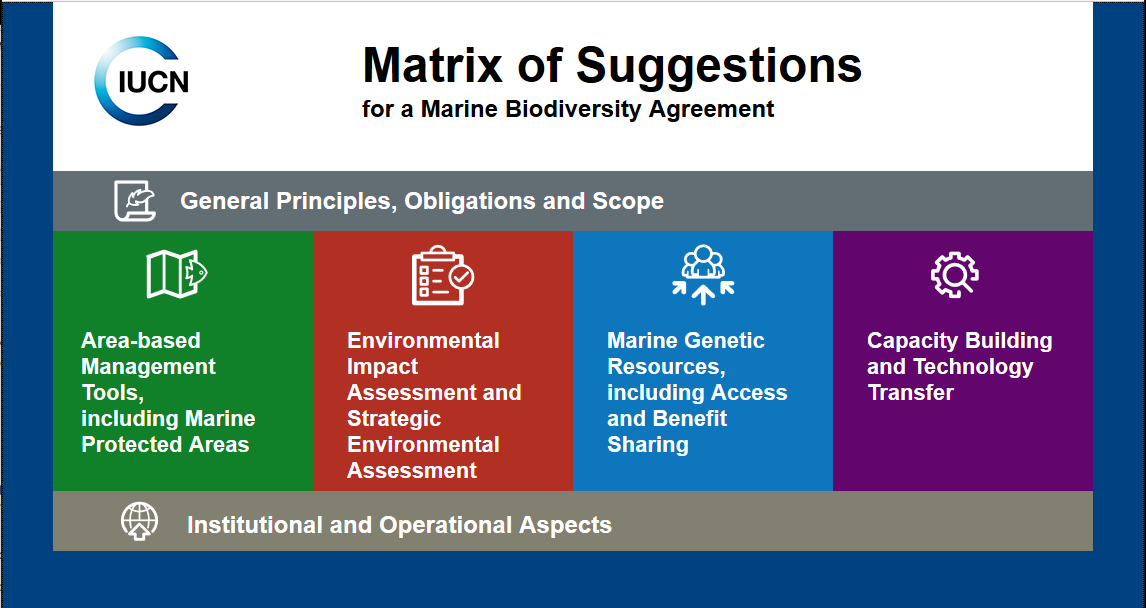 Understanding options for governance of marine biodiversity: A new ...