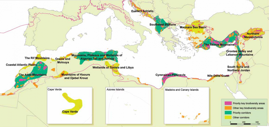 Extensive update process underway on Mediterranean biodiversity | IUCN