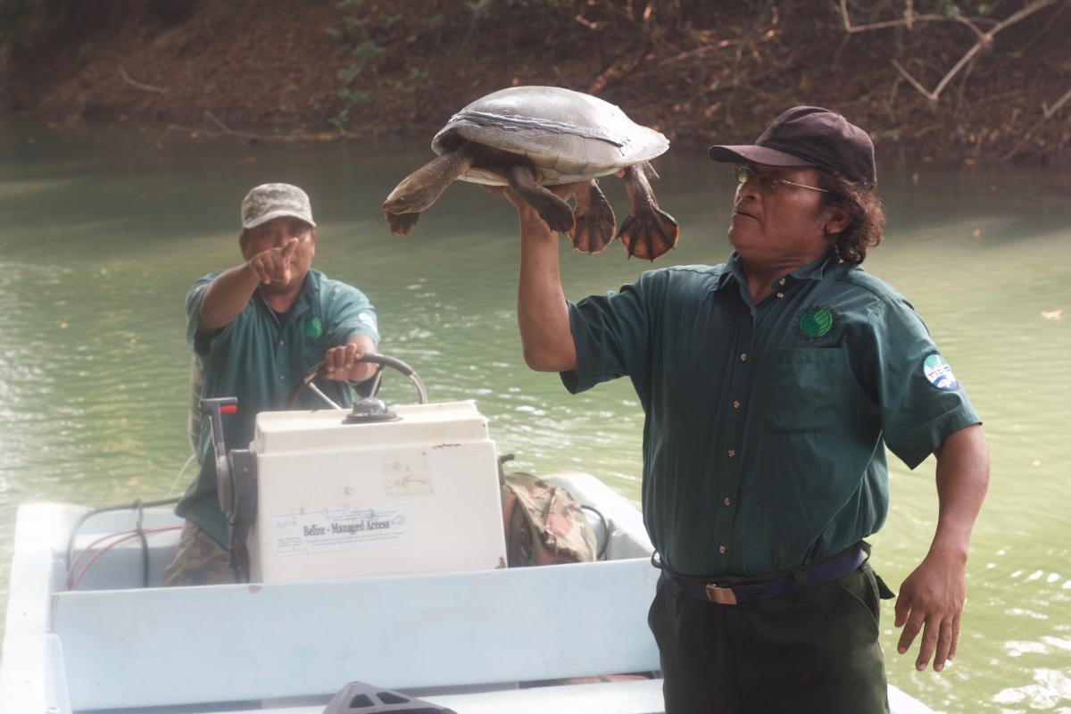 Governance Diversity for Belize | IUCN