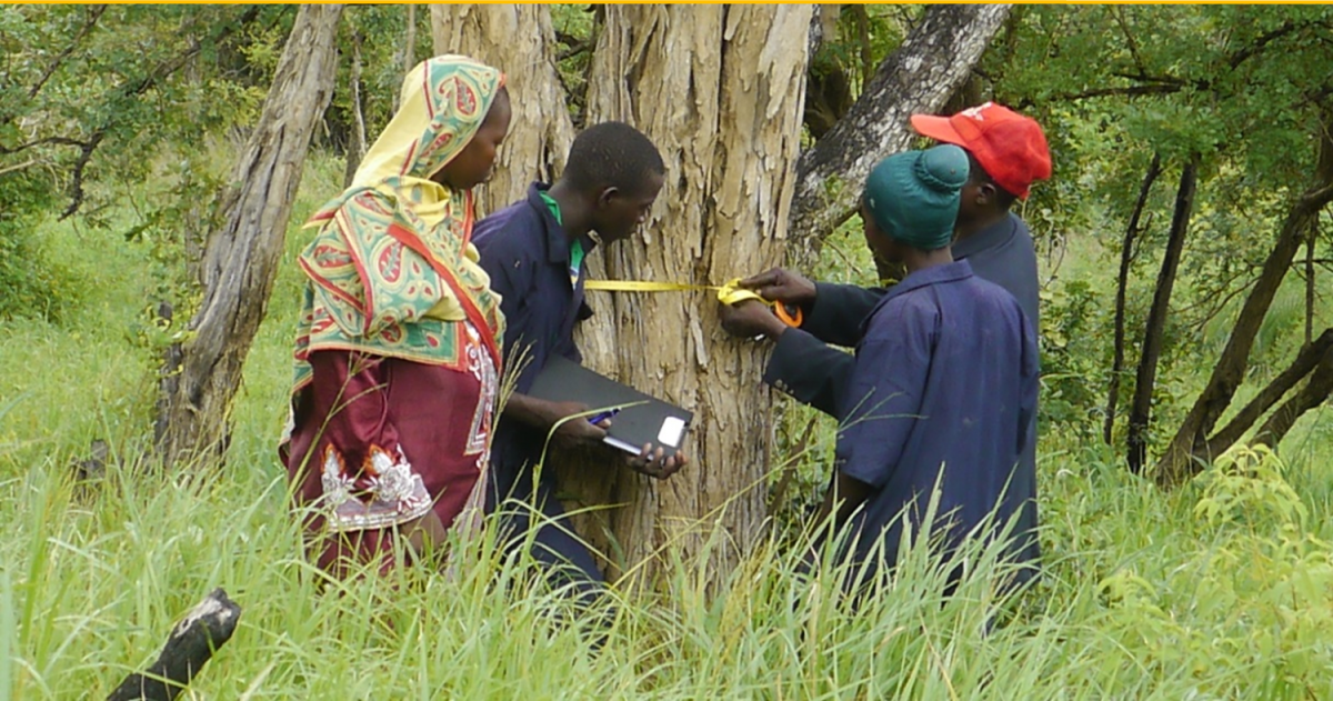 Supporting and strengthening ICCAs in Tanzania: Third national ...