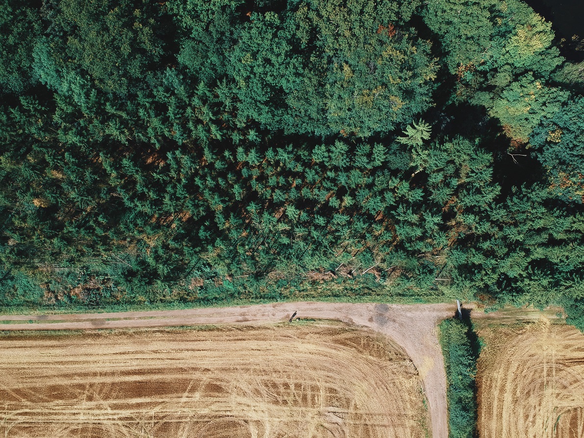 The future of nature conservation: How science can help | IUCN