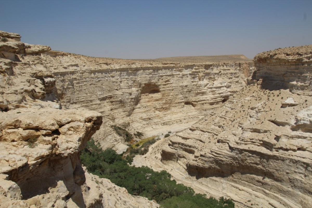 A Space for Nature: Wadi Al-Quff Nature Reserve | IUCN