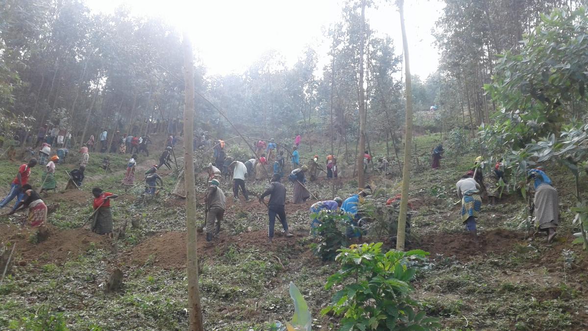 Rwanda Ministry of Environment launches a new Landscape Restoration ...