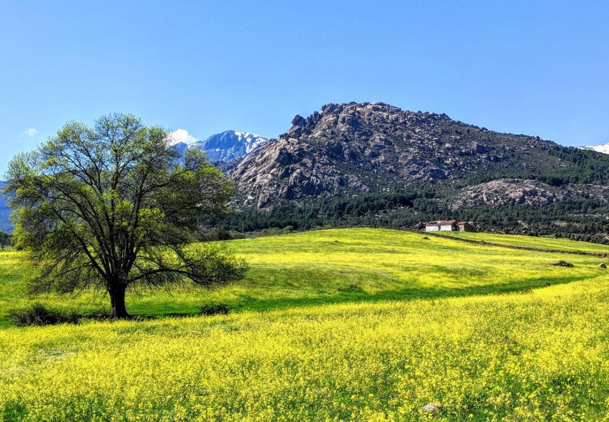 Inclusive conservation: towards a better management of protected areas ...