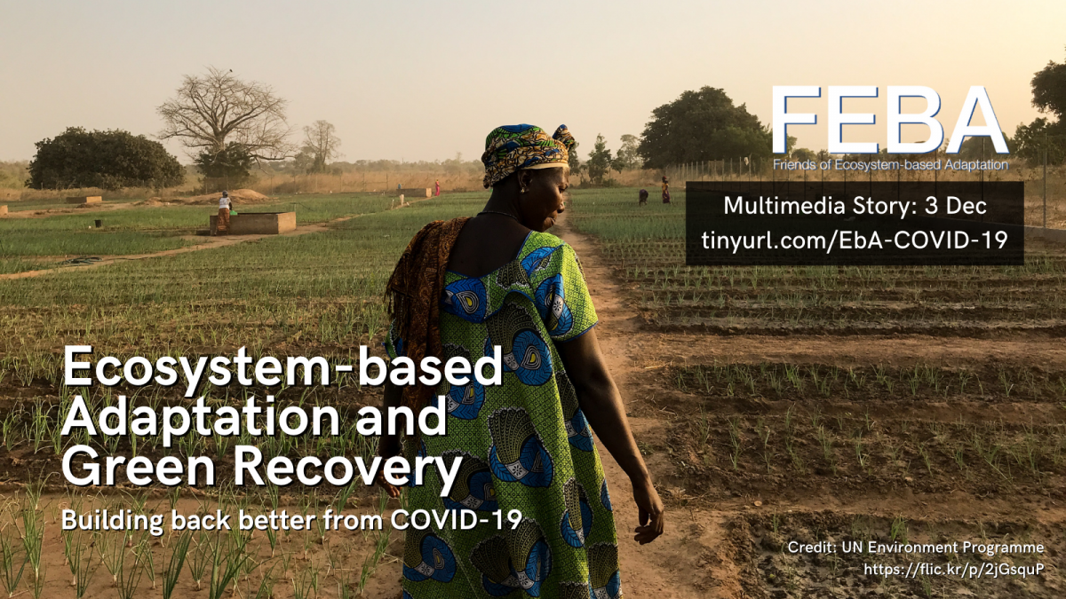 Ecosystem-based Adaptation and Green Recovery: Building back better ...