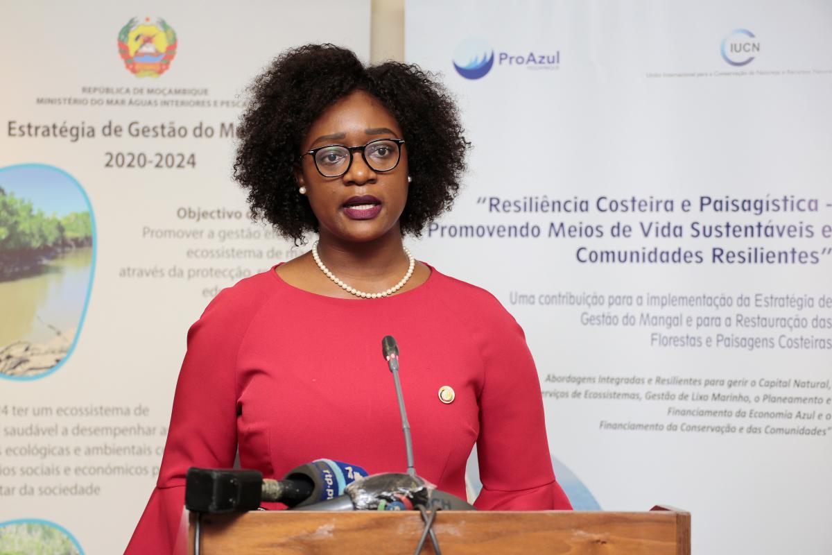 Coastal and Landscape Resilience - Promoting Sustainable Livelihoods ...