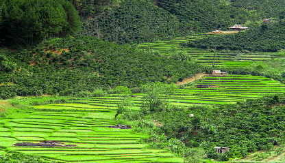 FAO Publishes Legal Guide on Land Consolidation for Sustainable Rural ...