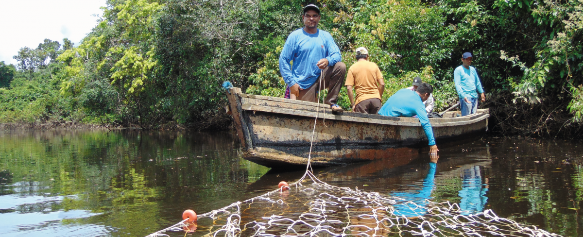 SERNAP aprueba el Plan de Control y Aprovechamiento Integral de Paiche ...