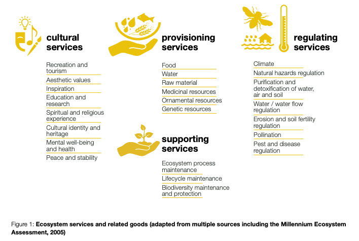 Guide to identifying ecosystem services in protected areas | IUCN