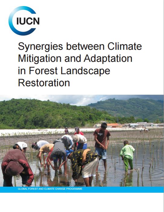 Synergies between climate mitigation and adaptation in forest landscape ...