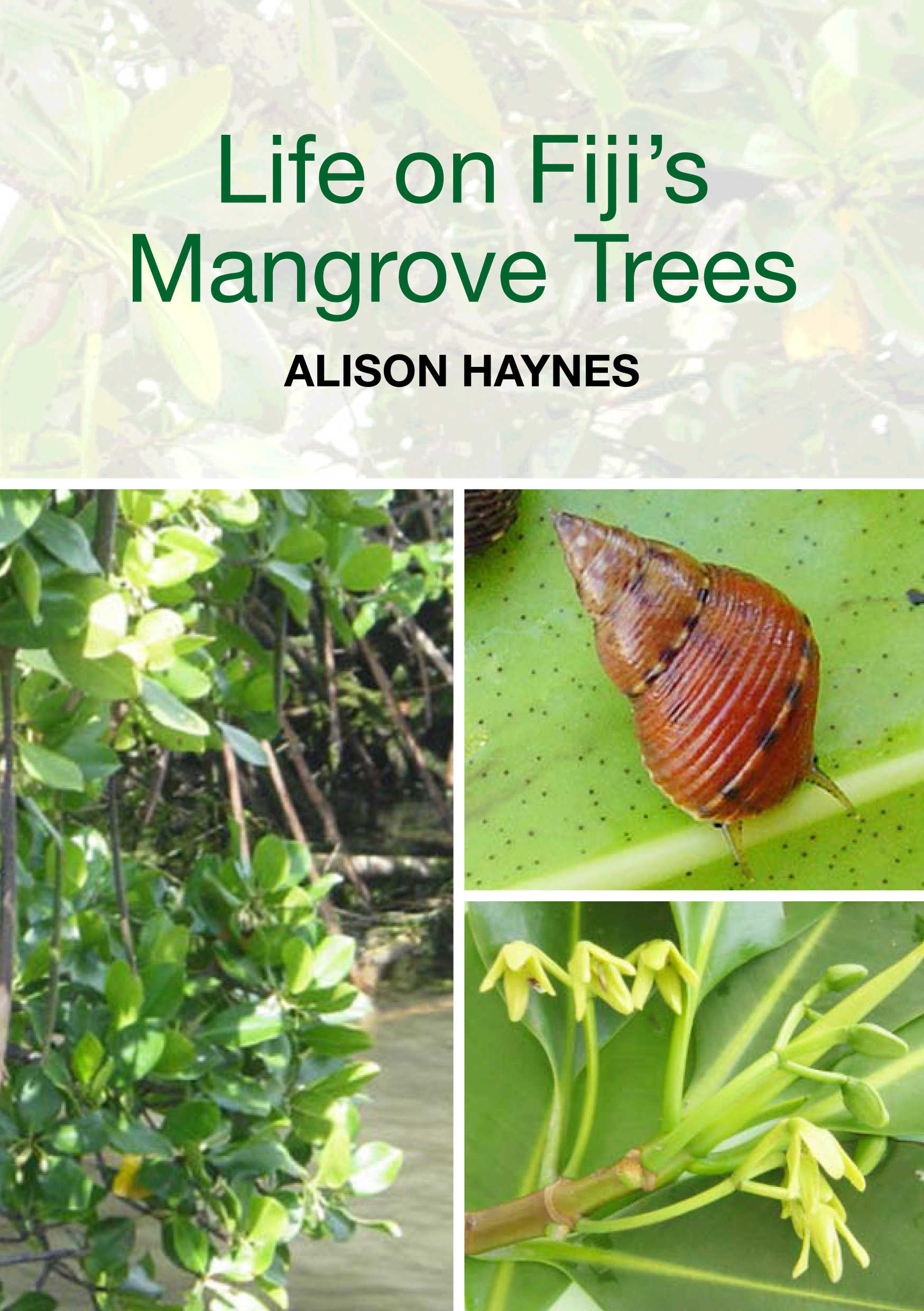 Life on Fiji's Mangrove Trees | IUCN