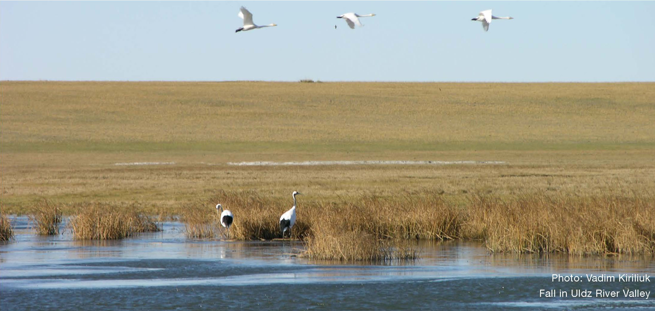 Climate Change in the Daurian Steppe | IUCN