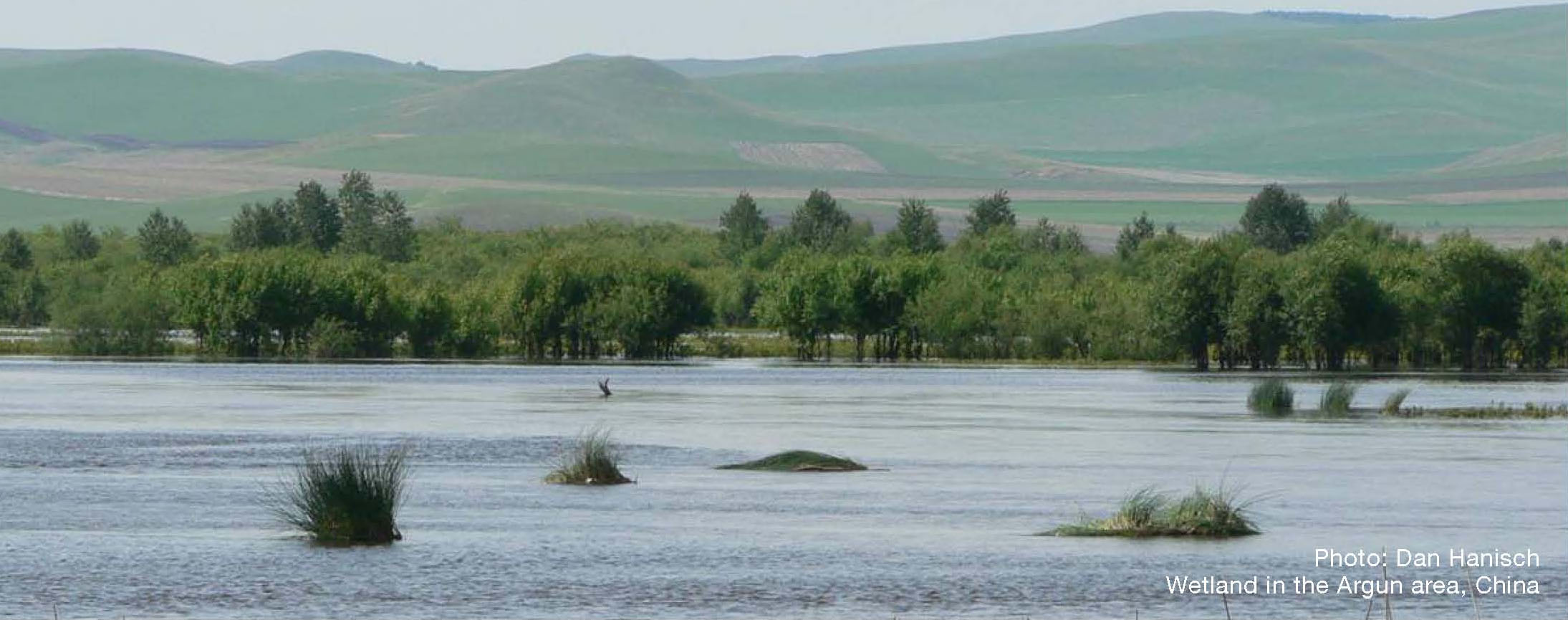 Water Conservation in East Asia | IUCN