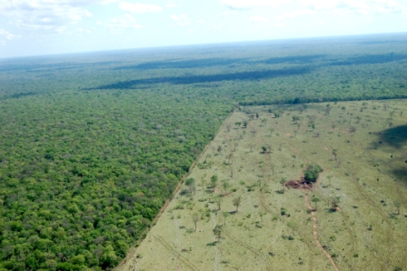 USA and others to restore more than 18 million hectares of forest lands ...