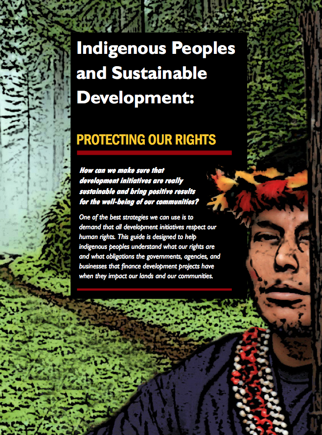 Indigenous Peoples and Sustainable Development: Protecting our Rights ...