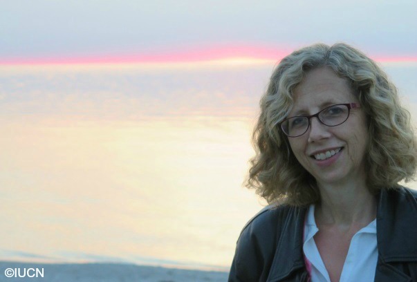 IUCN Director General announces first round of tiger projects | IUCN