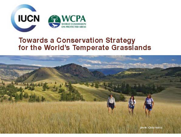 Towards a conservation strategy for the world's temperate grasslands | IUCN