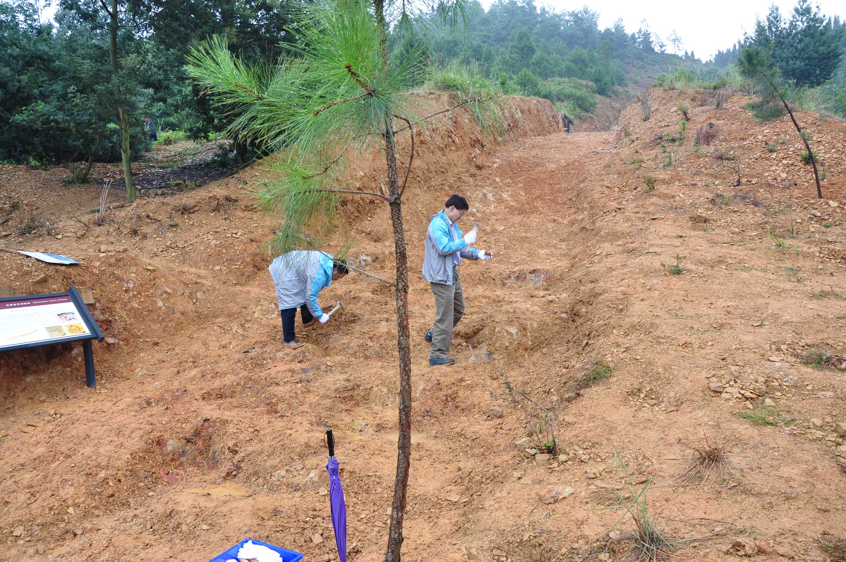 Six natural wonders declared World Heritage Sites | IUCN