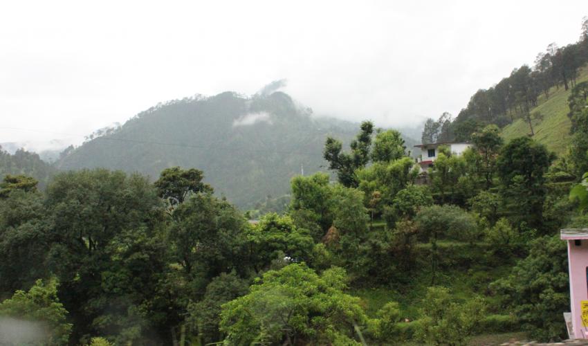 Blog: Restoring forests for the future of Himalayan mountain ...