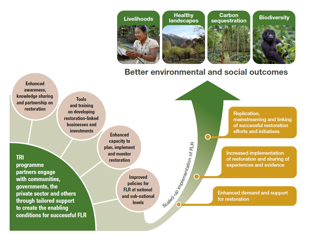 The Restoration Initiative Year in Review showcases progress despite ...