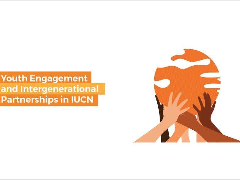 IUCN CEC Youth Engagement and Intergenerational Partnerships Specialist ...