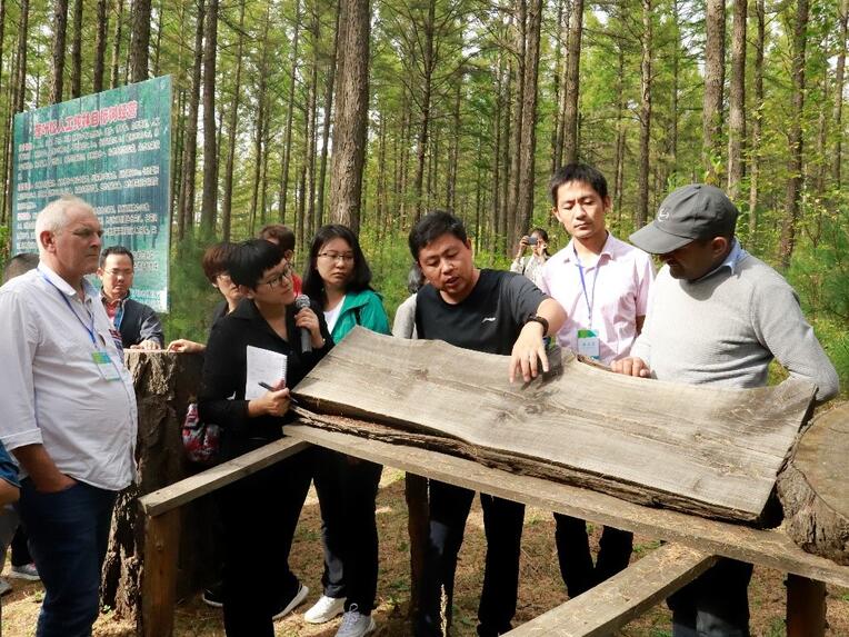 Building Climate Resilient Green Infrastructure - Enhancing ecosystem ...